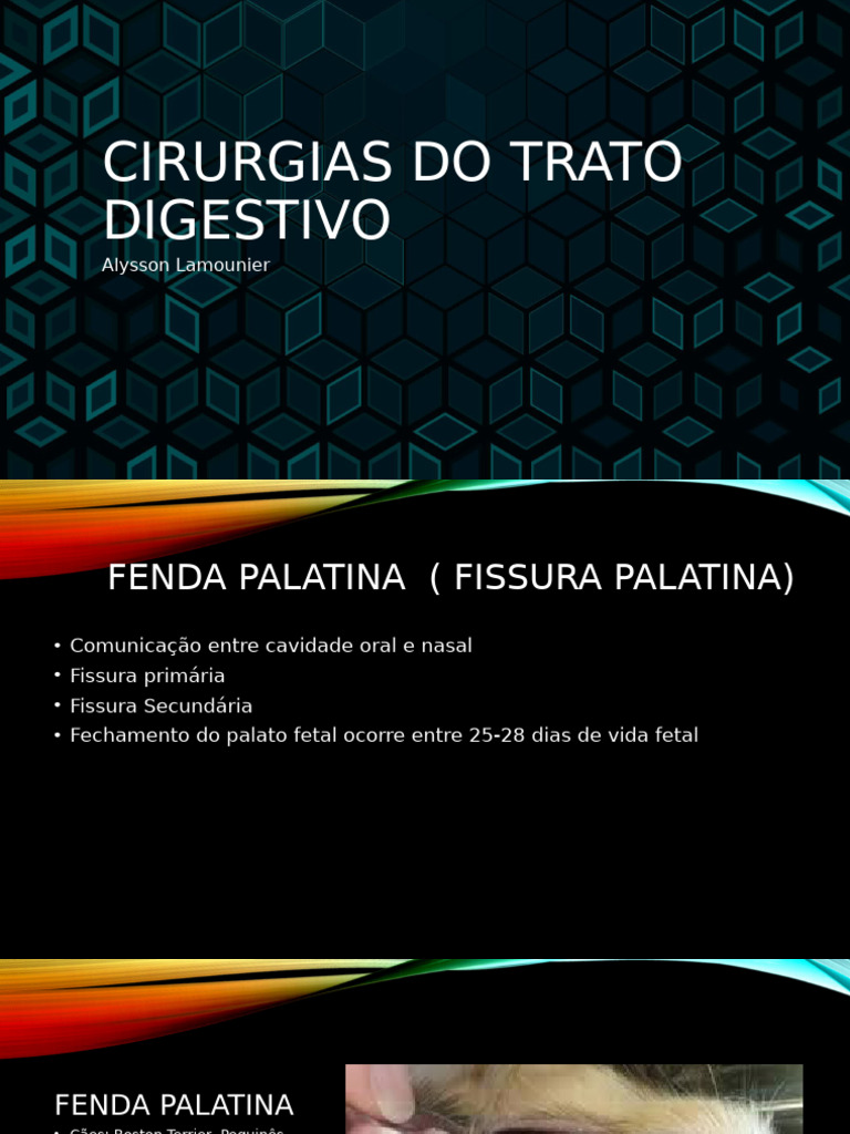 Cirurgia Trato Digestivo | PDF