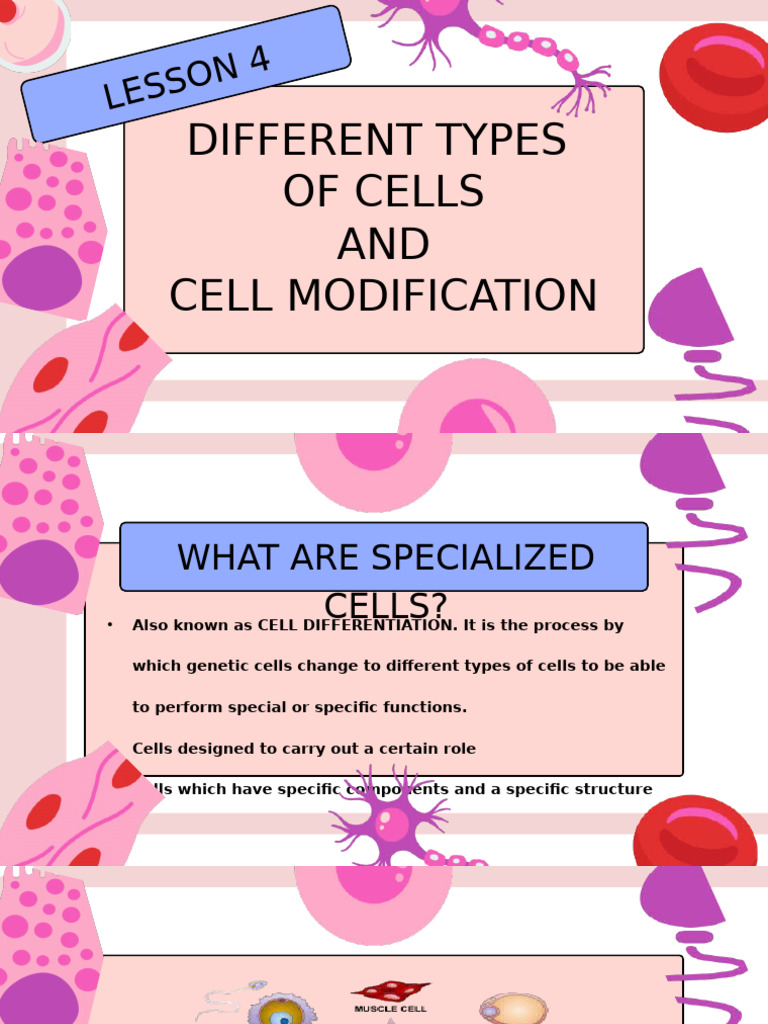 Cell Type Cell Modification | PDF