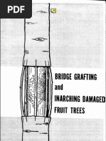 Asexual Propagation by Inarching | PDF | Grafting | Trees