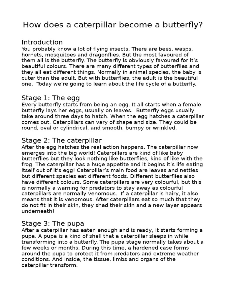 Life Cycle of A Butterfly | PDF
