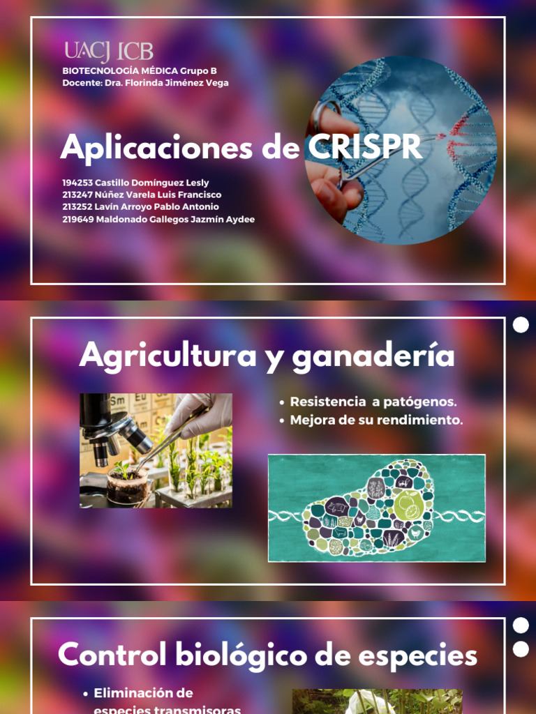 Aplicaciones CRISPR | PDF