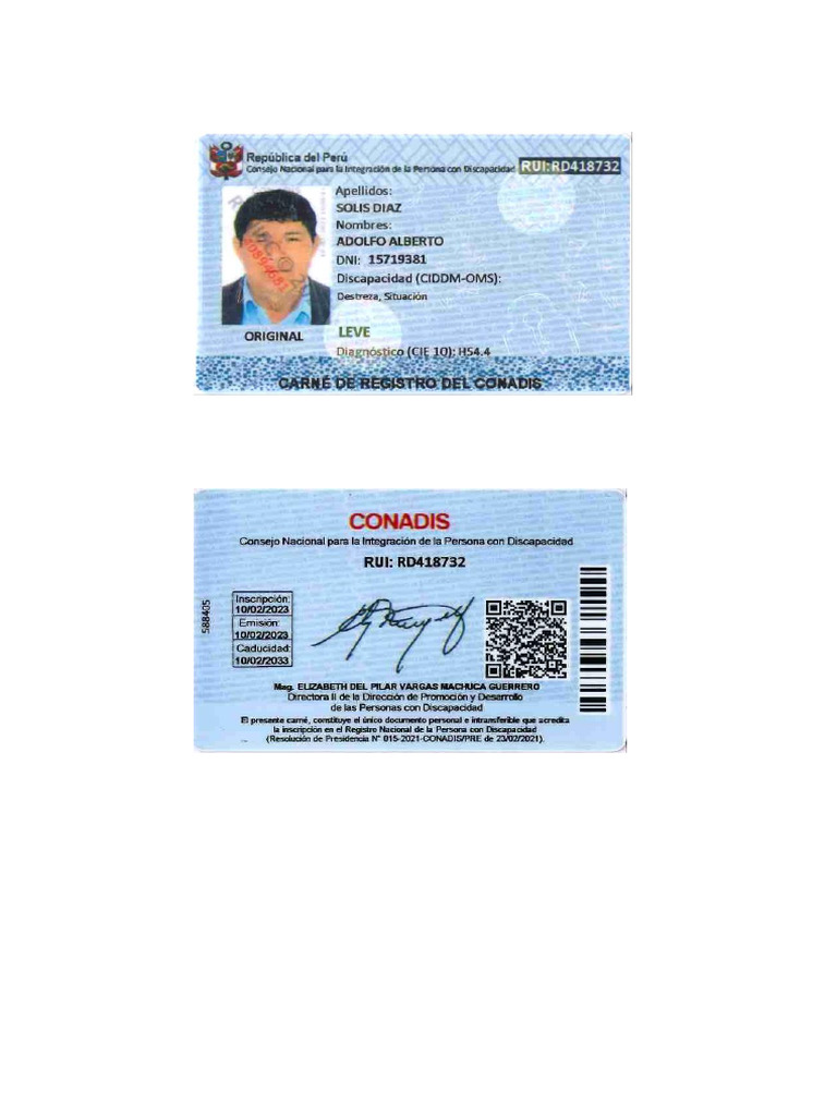 Carnet Conadis Adolfo Solis | PDF