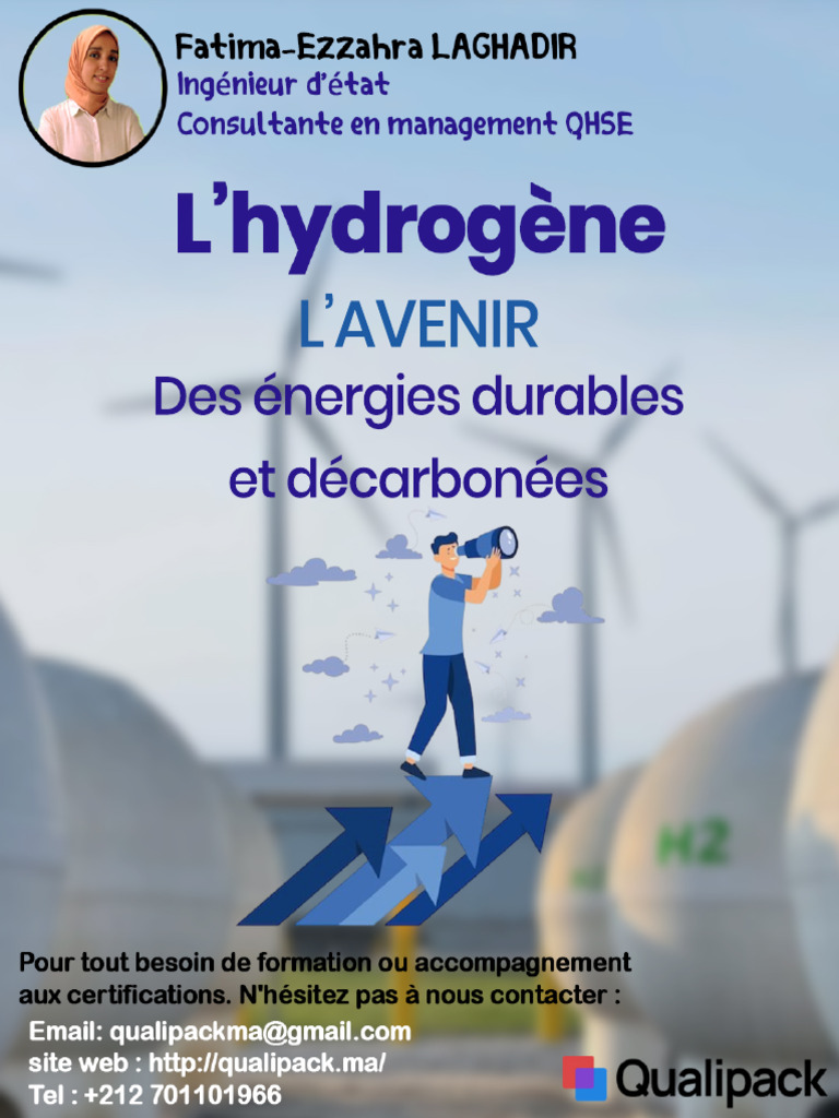 Hydrogène Vert??? | PDF