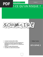 Dossier GRCF BTS GPME 2025 | PDF | Informatique | Logiciel