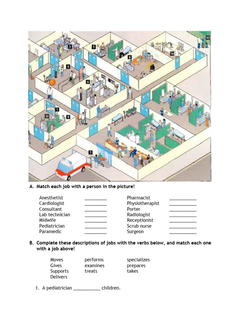 M6. The Hospital Team Exercise | PDF
