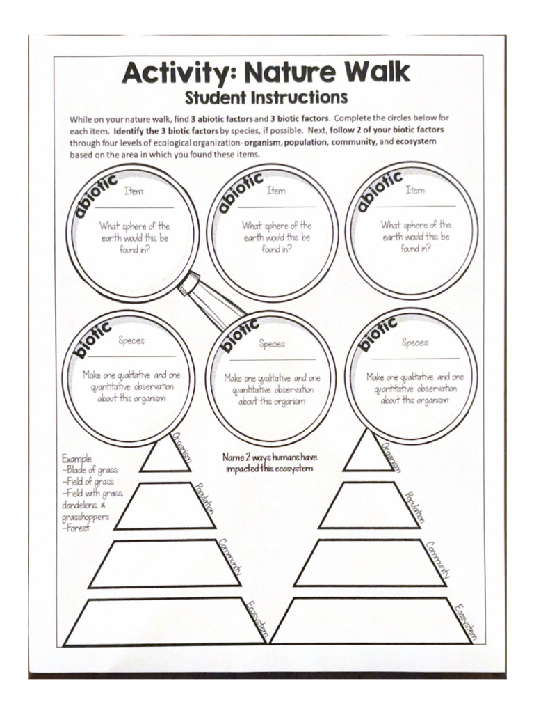 Activity Nature Walk | PDF