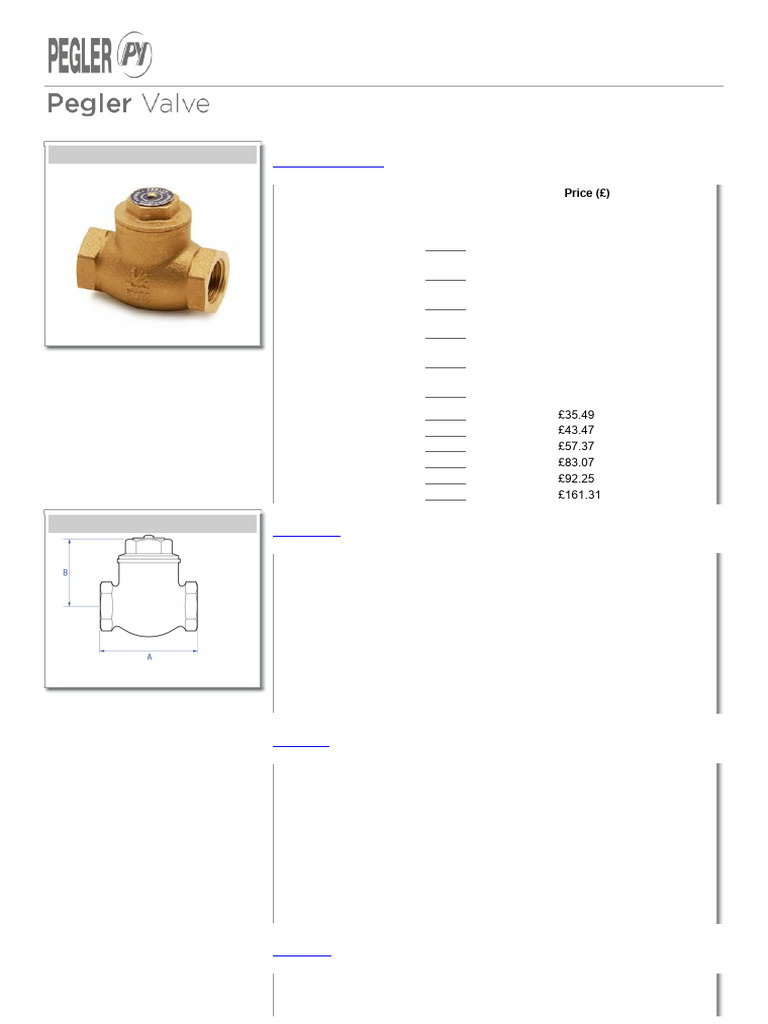 Bronze PN20 Swing Check Valve | PDF