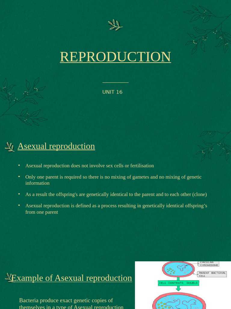 Reproduction | PDF