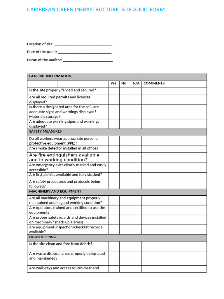 CGI Site Audit | PDF