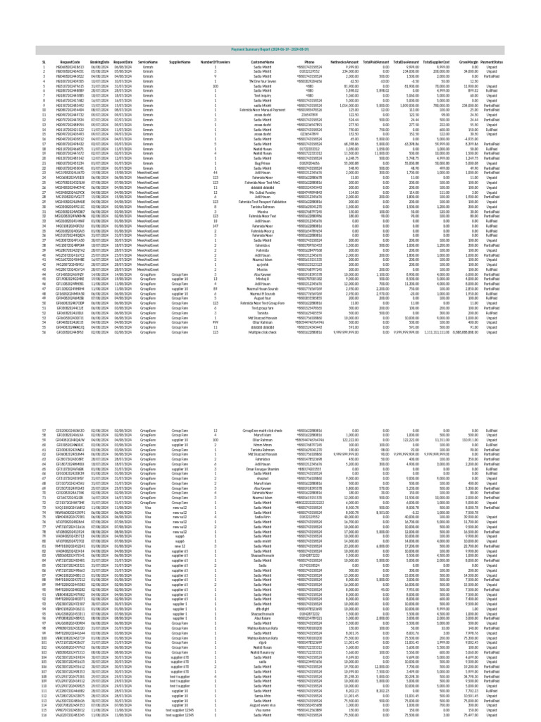 Payment Summary Report | PDF