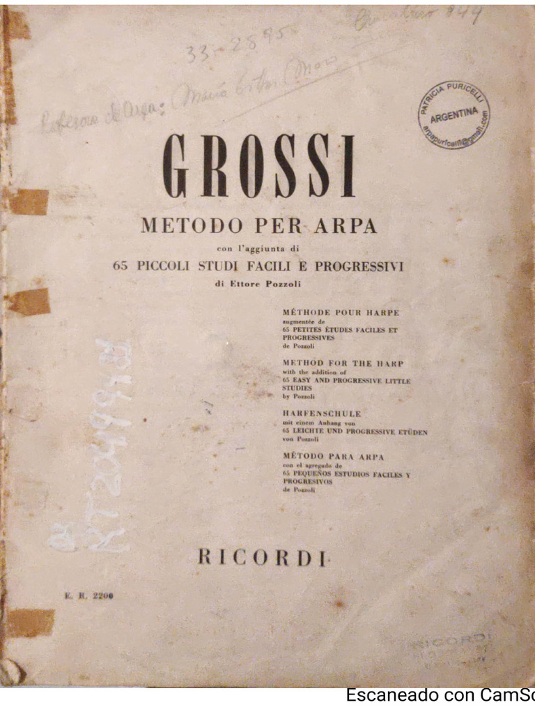 Grossi | PDF