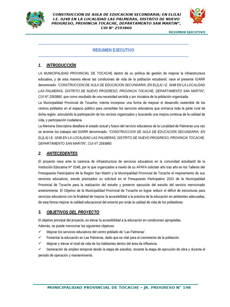 02 Resumen Ejecutivo | PDF