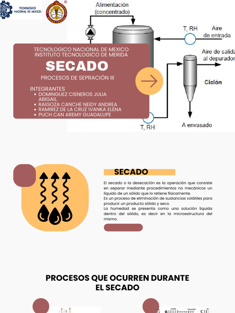 Secado | PDF