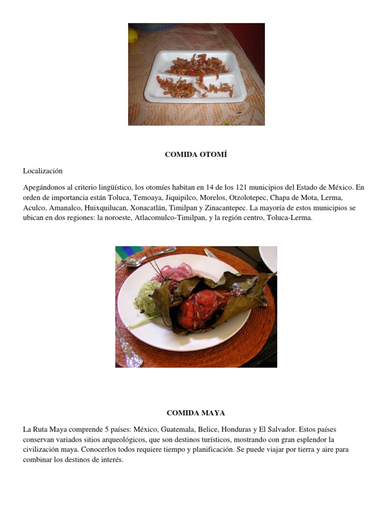 Comida Otomí | PDF | Cultura de las Americas | America latina