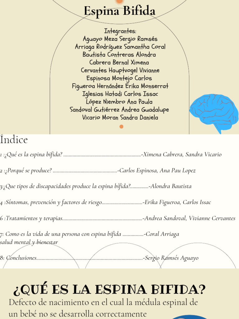 Espina Bifida | PDF