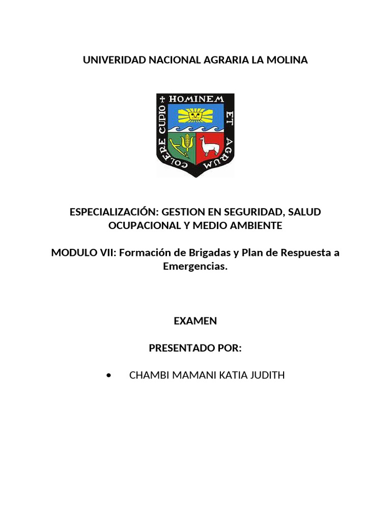 Pregunta 4 - Brigadas Pre | PDF