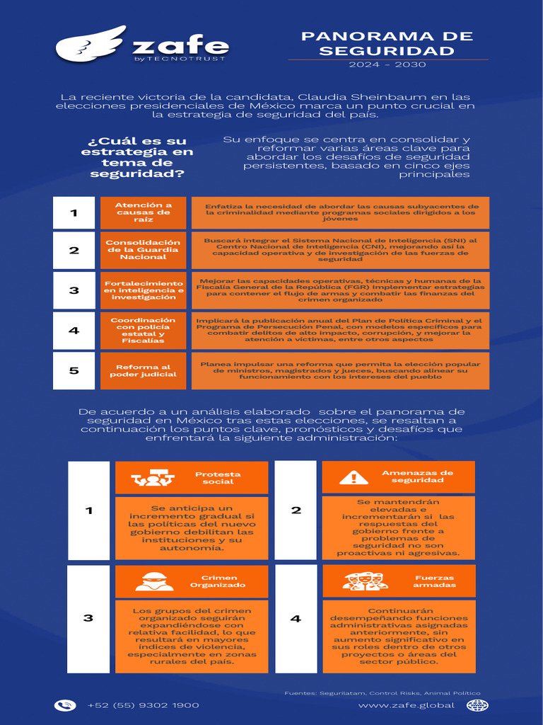 Panorama de Seguridad 2024 - 2030 | PDF