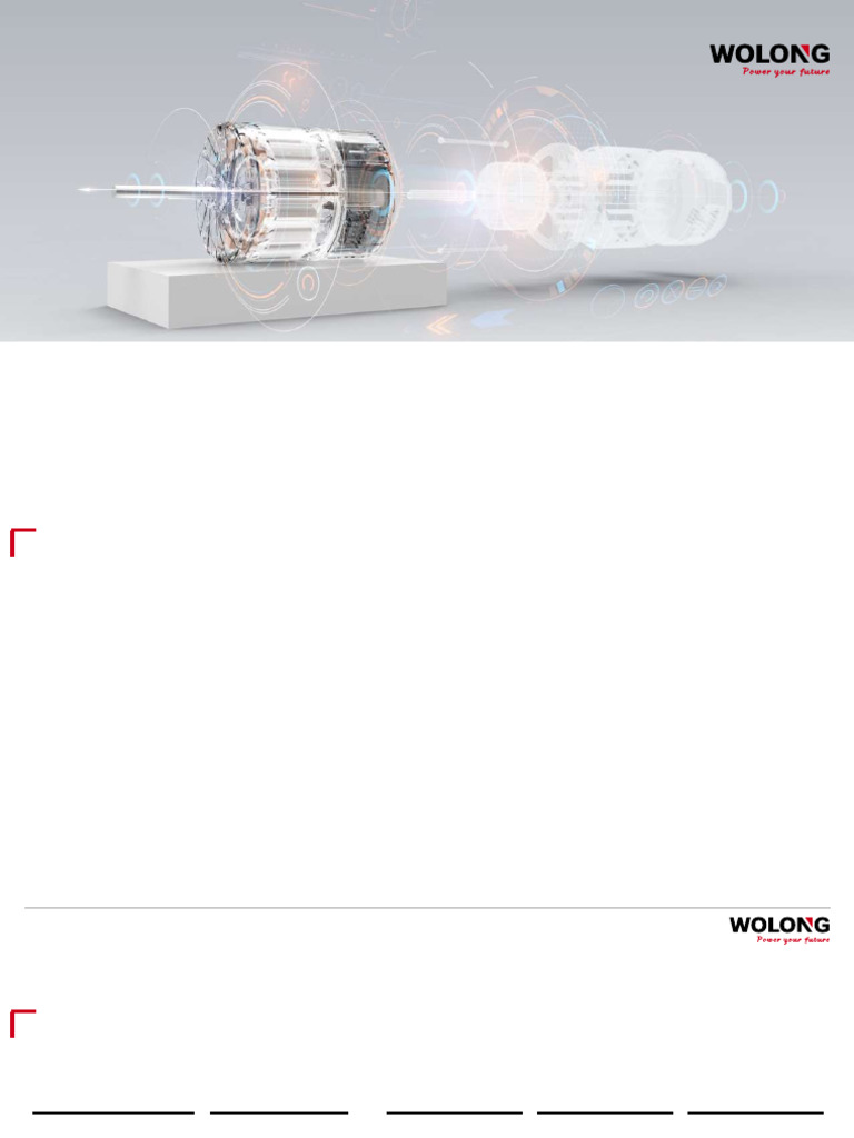 Presentación WOLONG | PDF