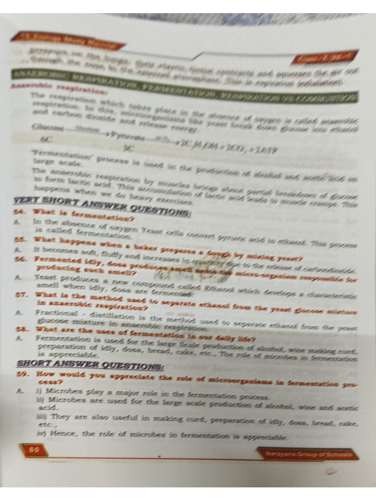 TapScanner 08-20 | PDF