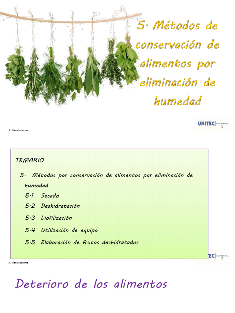 Métodos de Conservación de Alimentos Por Eliminación de Humedad | PDF