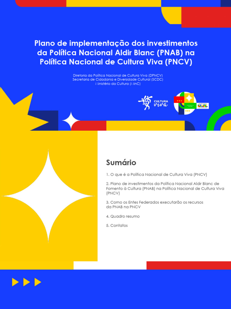 Plano de Implementacao Pncv Na Pnab | PDF