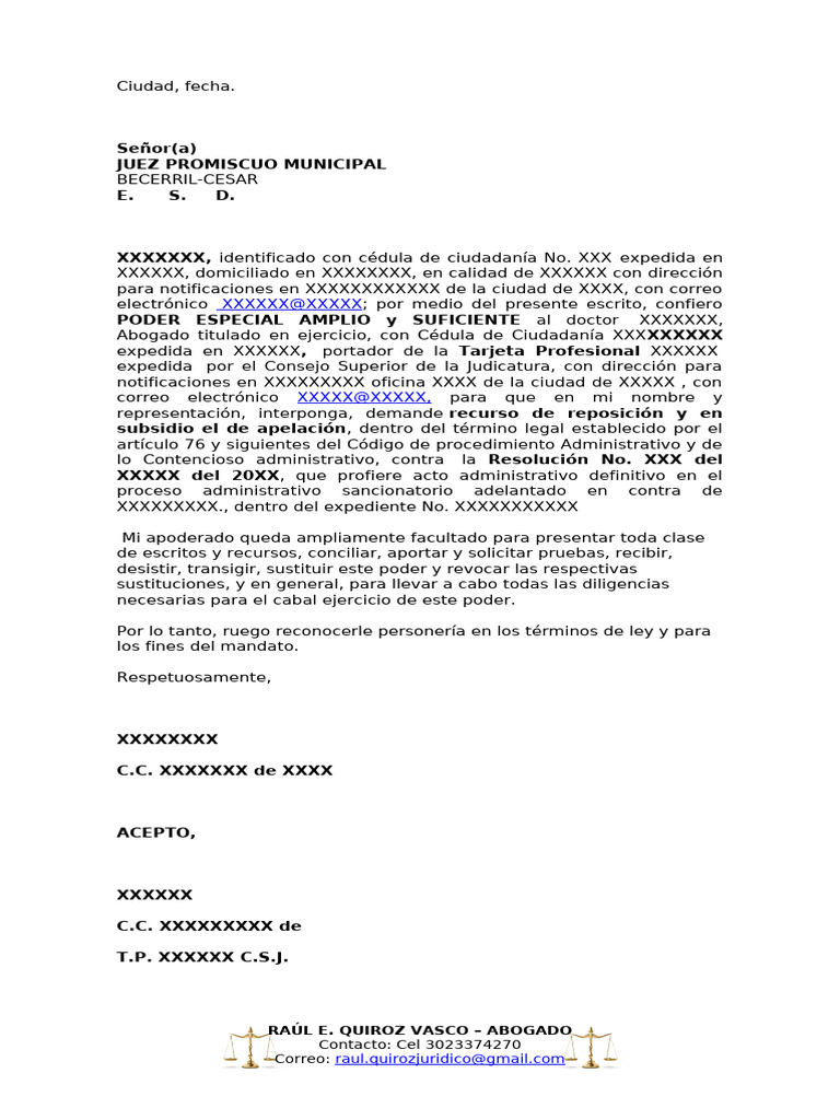 Modelo Poder Especial | PDF