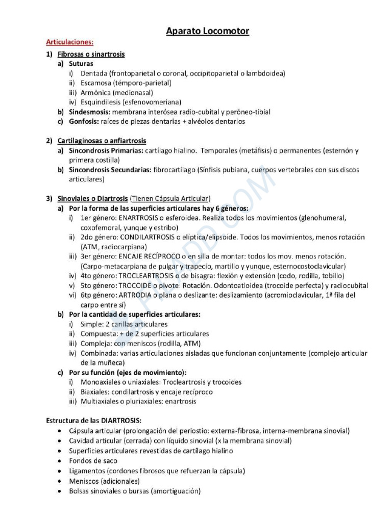 Miembro Superior Resumencito | PDF
