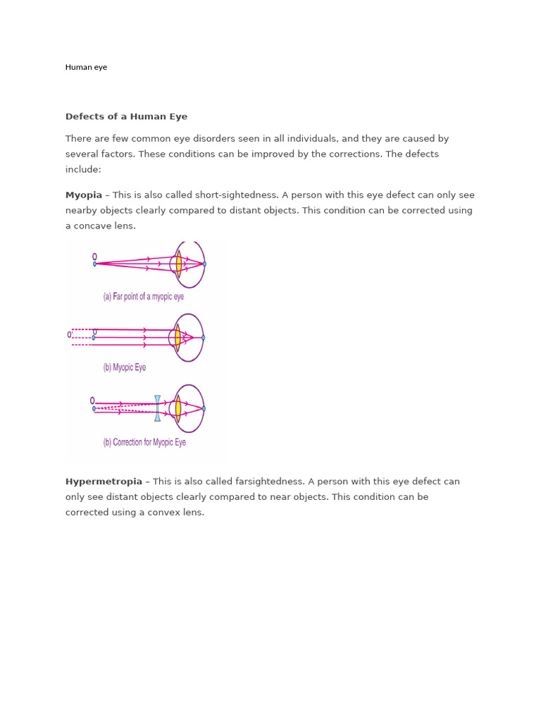 Human Eye | PDF