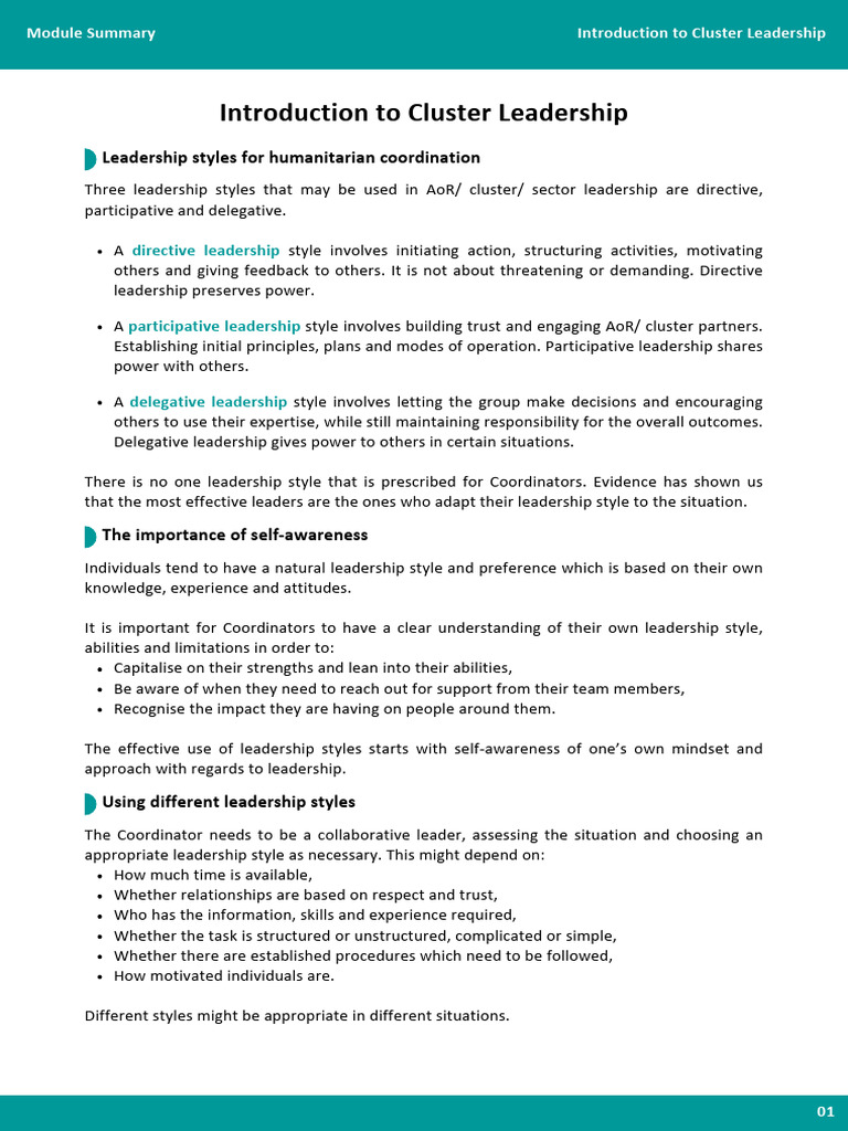 Introduction To Cluster Leadership | PDF