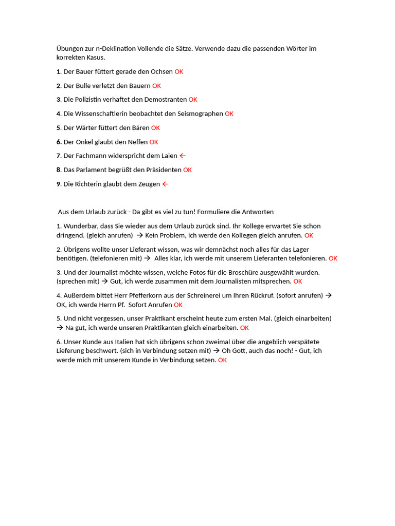 Übungen Zur N Deklination | PDF