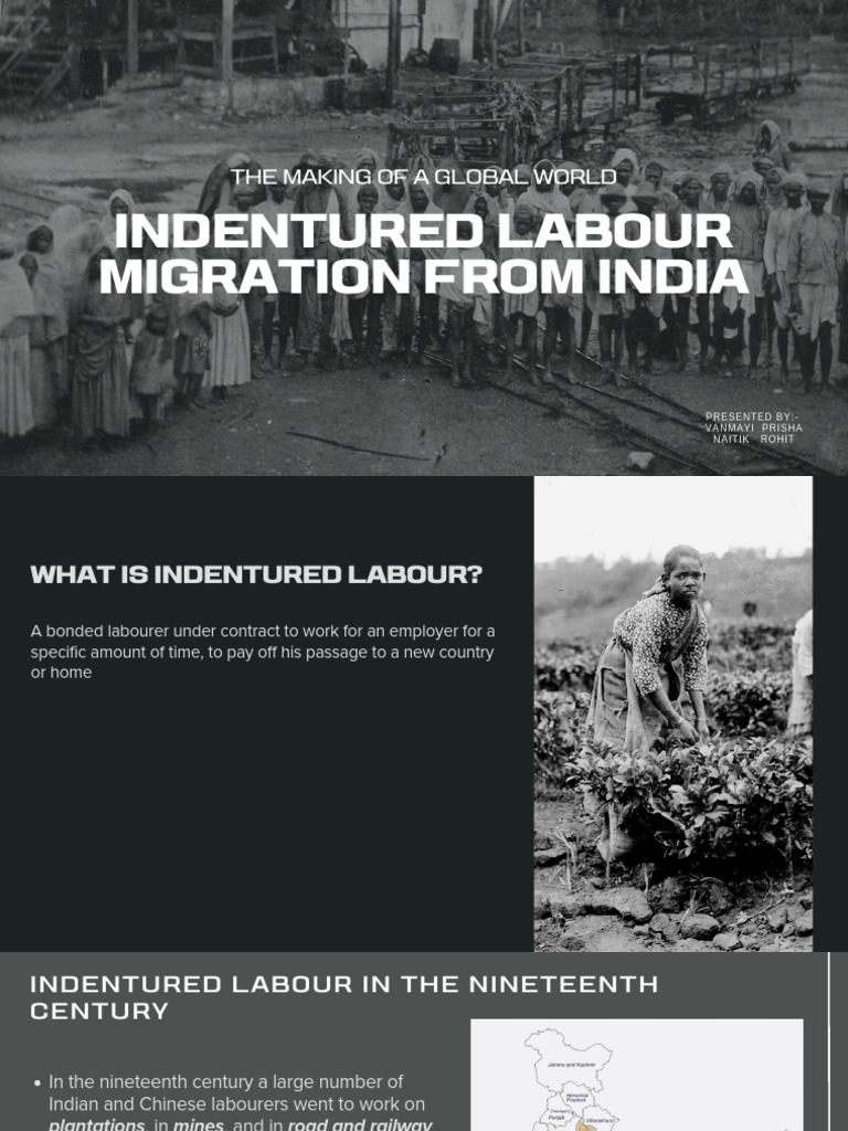 The Making of A Global World-Indentured Labourers | PDF | Unfree Labour ...