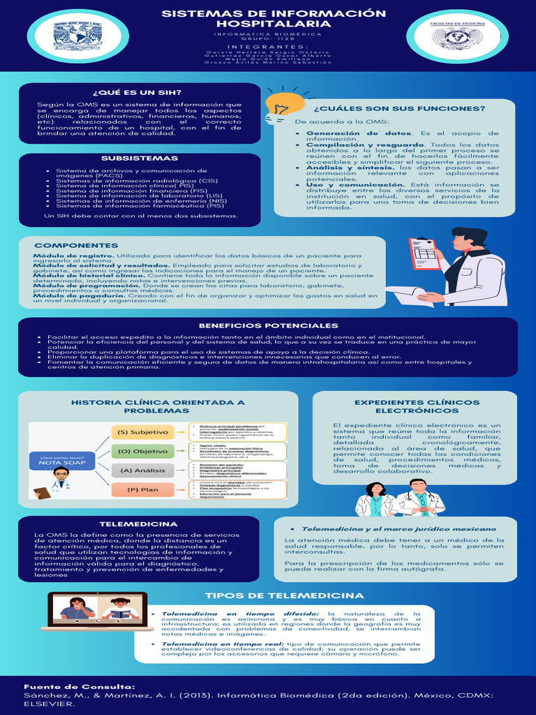 Infografía SIH | PDF