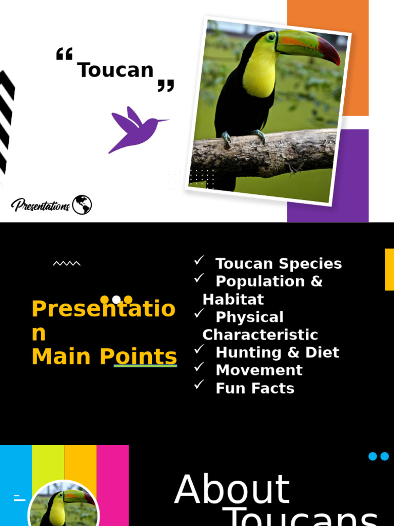 Toucan | PDF