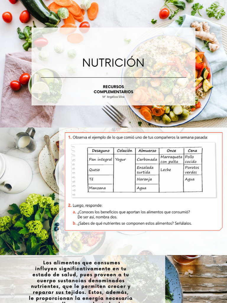 Presentación Alimentación y Nutrición | PDF