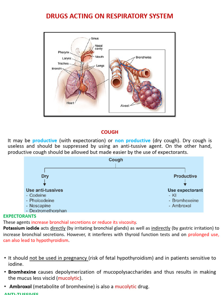 Drugs Acting On Respiratory System | PDF | Asthma | Cough