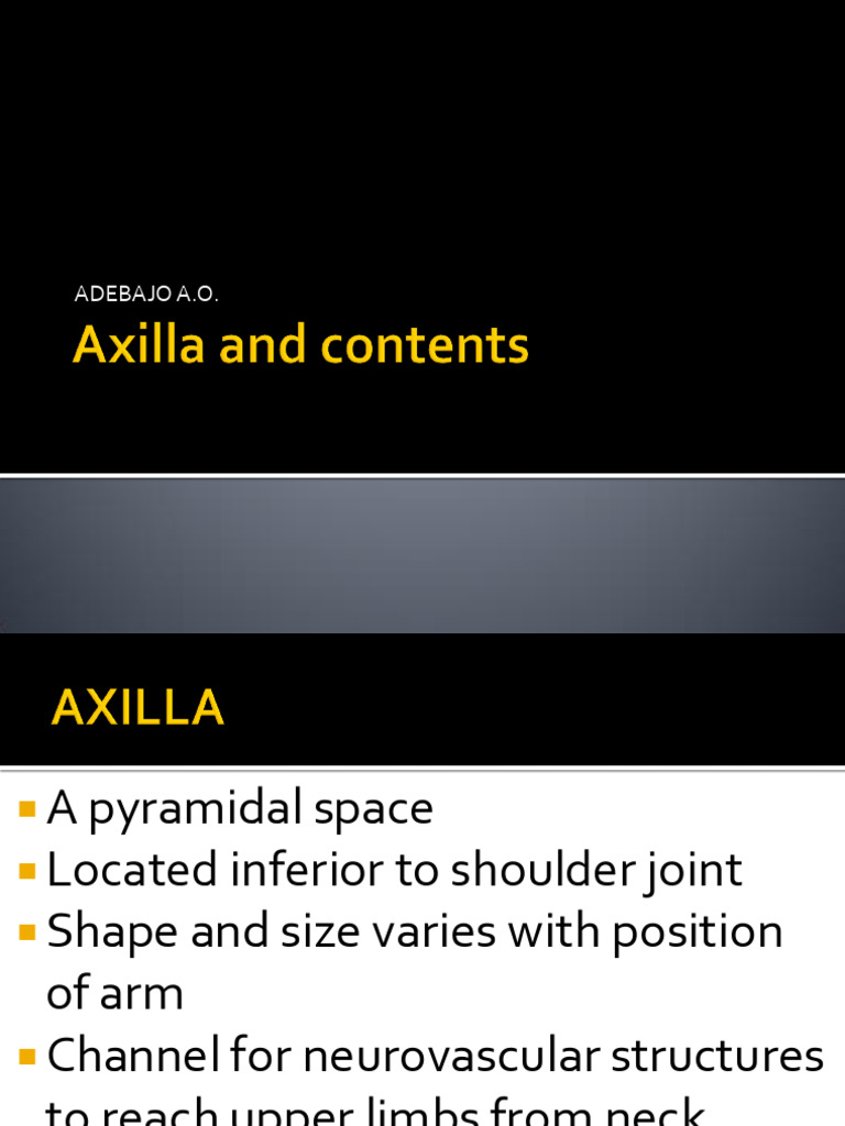 Axilla and Contents 22 | PDF