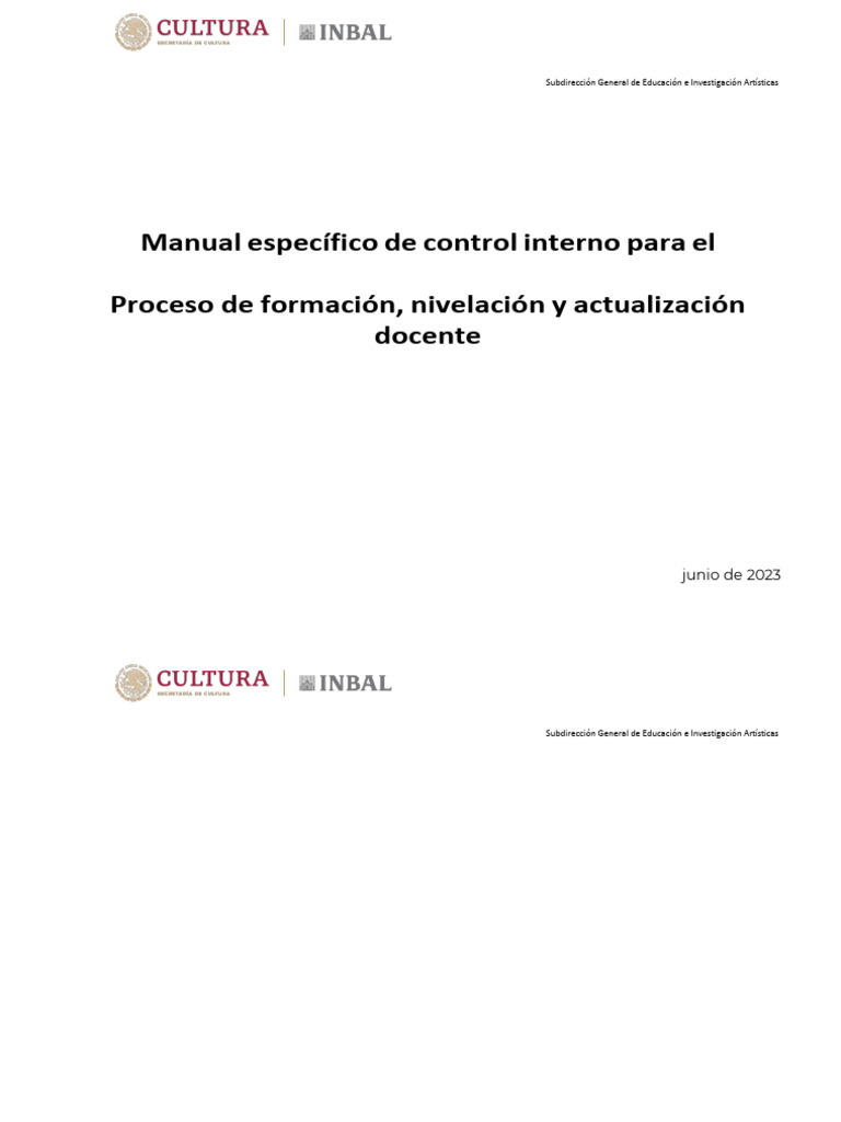Manual Control Interno Sgeia | PDF
