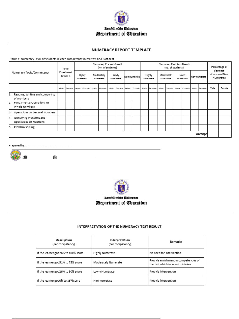 Numeracy Report Template | PDF