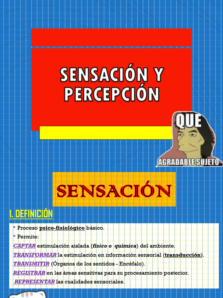 Sensación y Percepción | PDF | Percepción | Sentidos