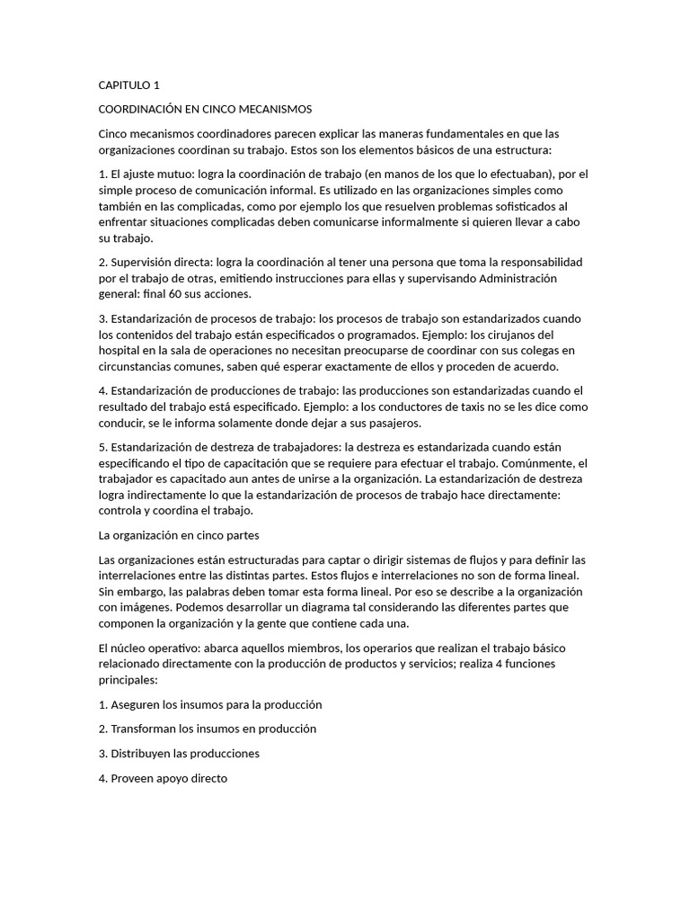 Mitzberg Resumen | PDF