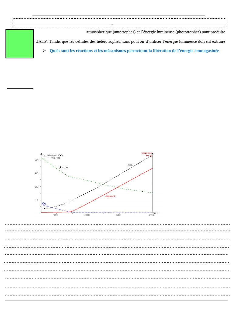 Cours Complet Atp+Muscle | PDF