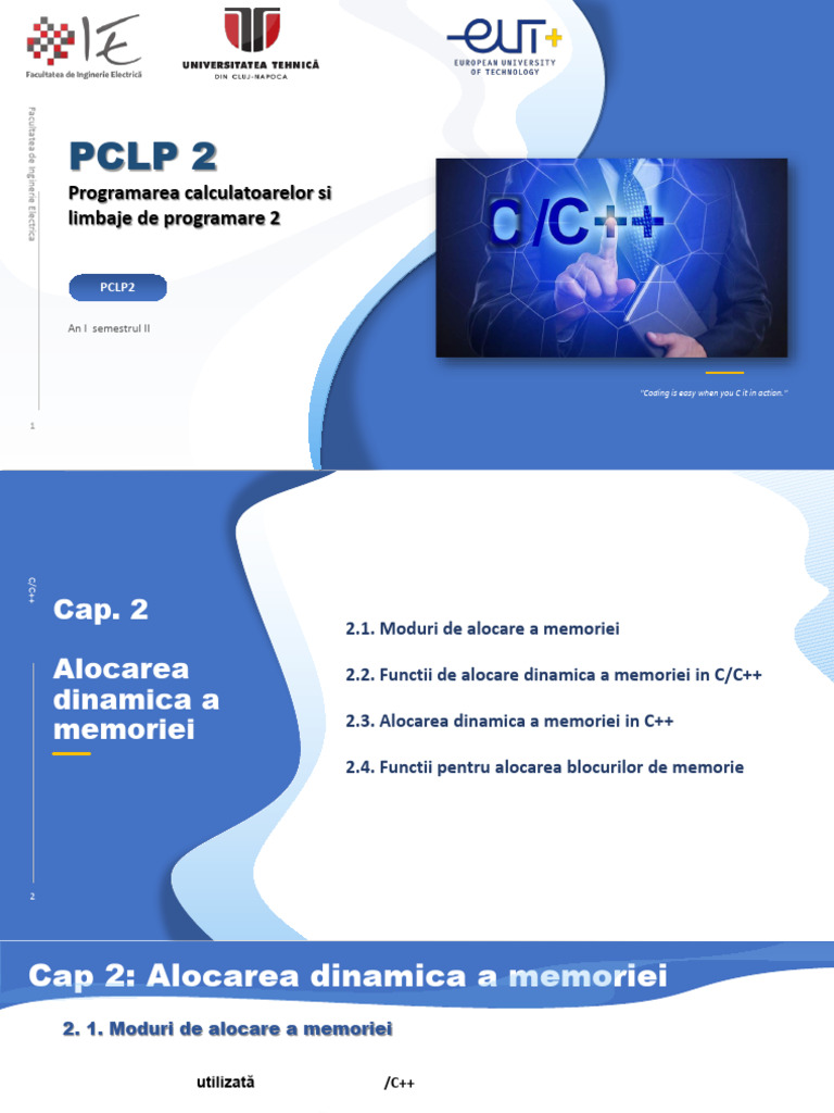 Alocarea Dinamica | PDF