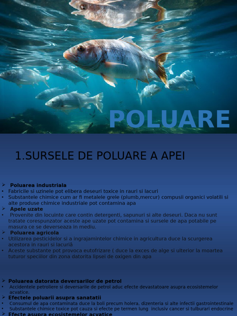 Proiect Chimie | PDF