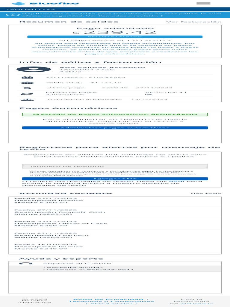 Bluefire Insurance | PDF