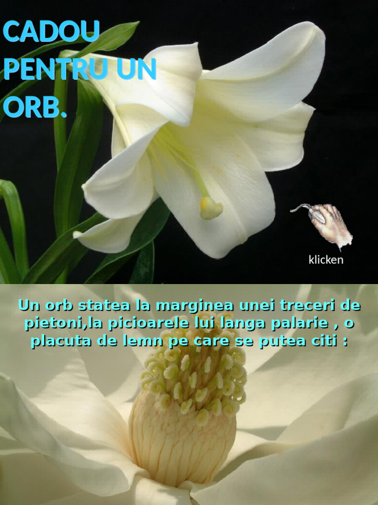 Cadou Pentru Un Orb (WWW - Nicepps | PDF