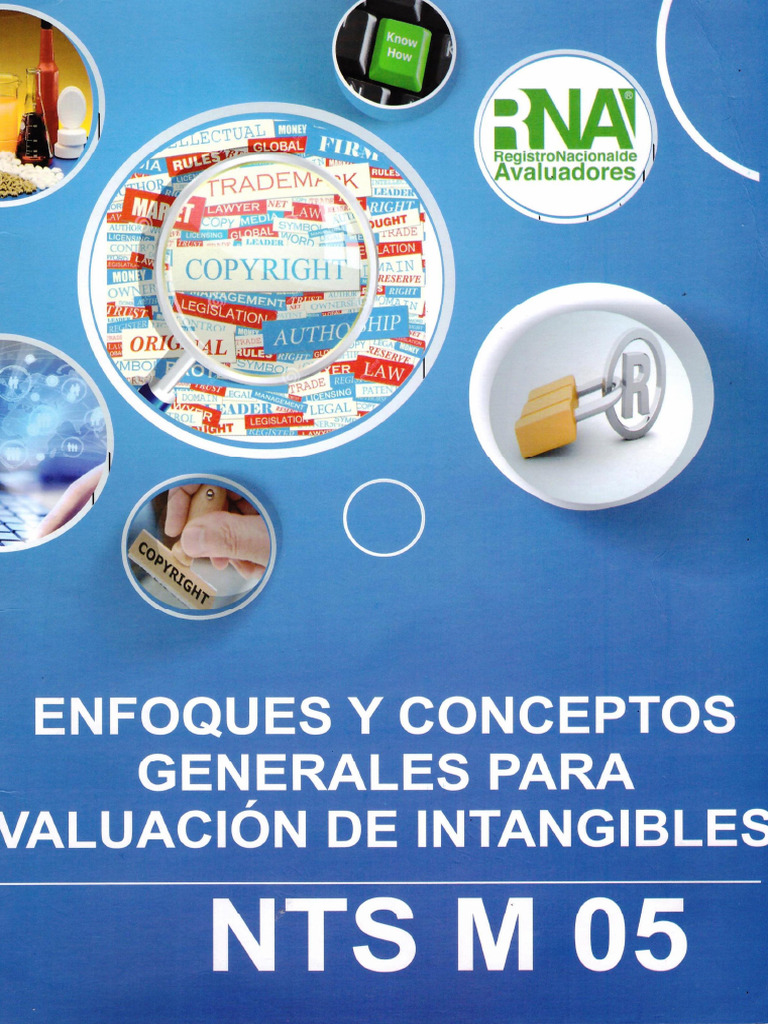 Nts M 05 Enfoques y Conceptos Generales para La Valuacion de Intangibles | PDF
