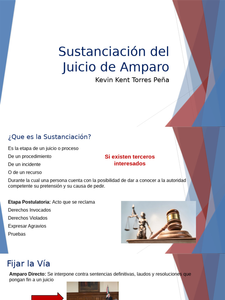 Sustanciación Del Juicio de Amparo | PDF | Ciencias sociales