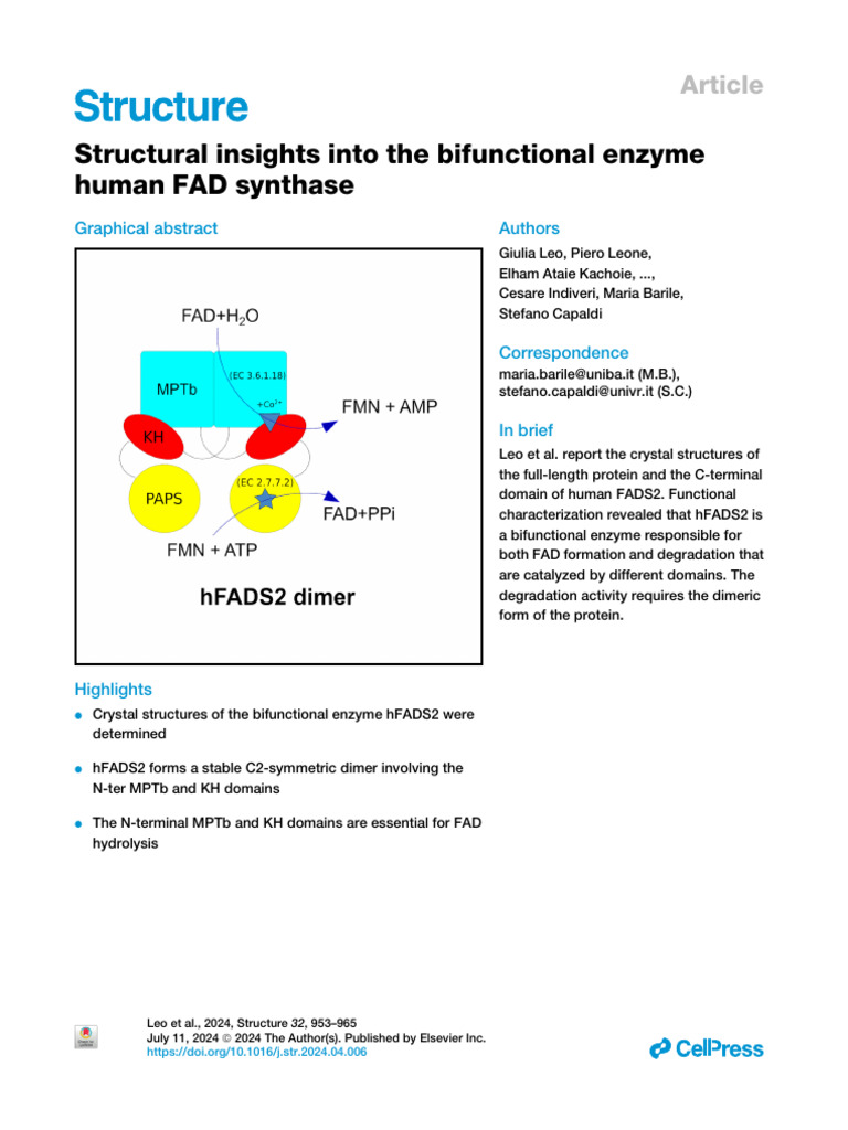 Structural-insights-into-the-bifunctional-enzyme-h | PDF