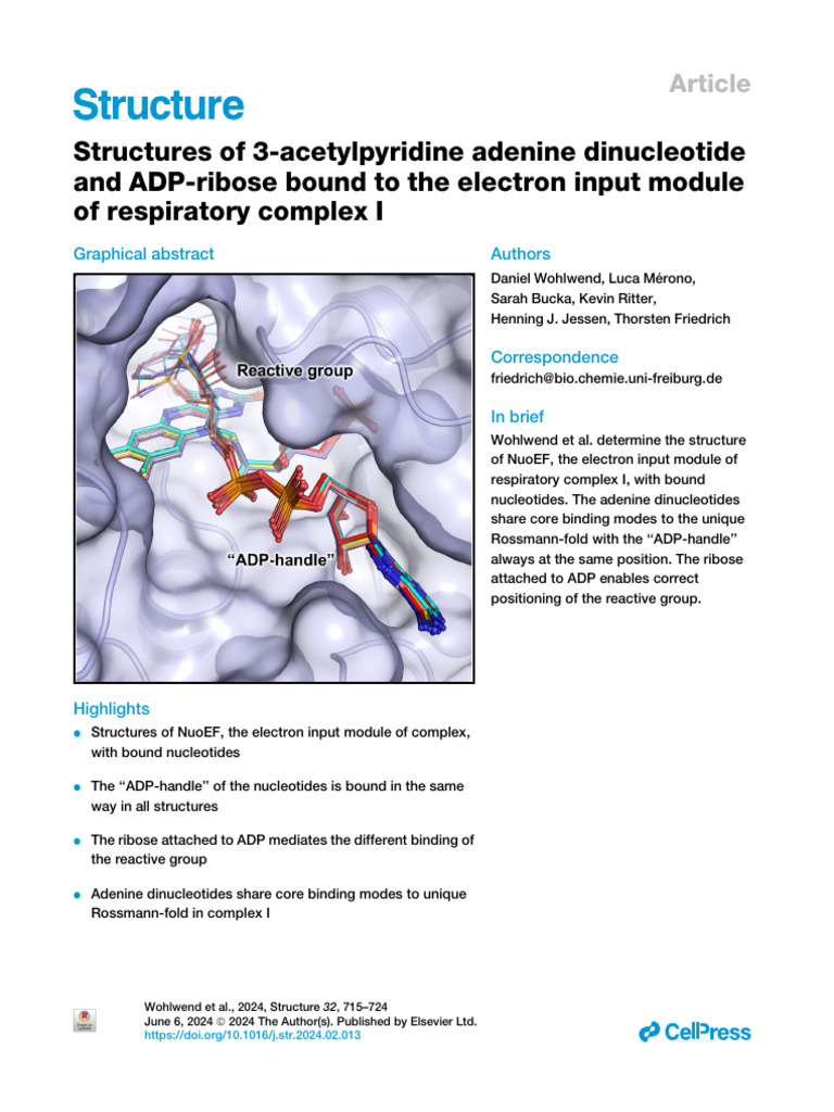 Structures of 3 Acetylpyridine Adenine Dinucleotid | PDF
