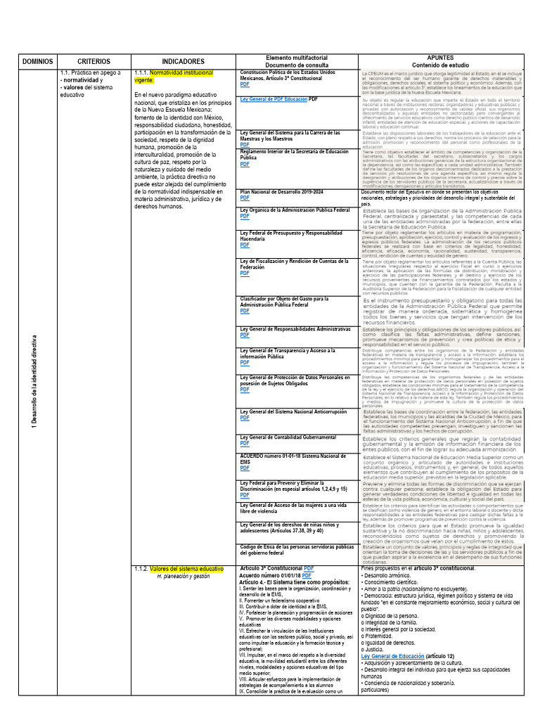 PERFIL DIRECTOR Dominios Criterios Indicadores | PDF